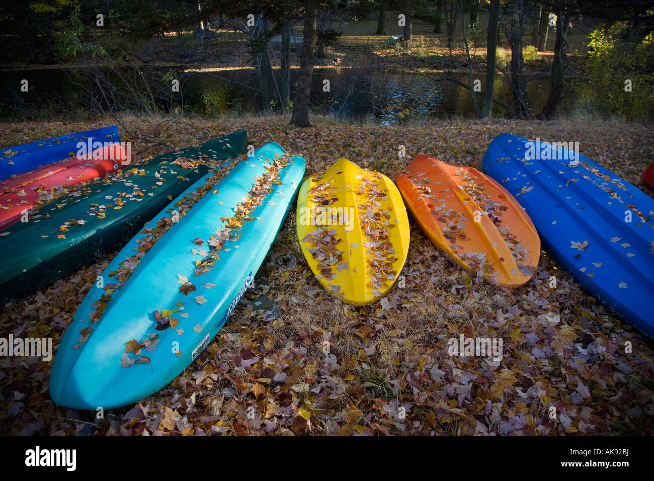 Hulls of kayaks and canoes covered with leaves Stock Photo - Alamy