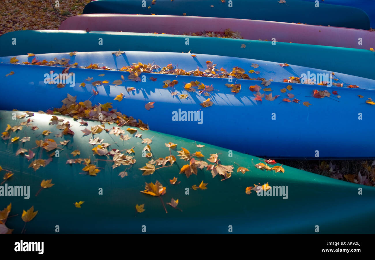 Hulls of kayak and canoe covered with leaves Stock Photo - Alamy