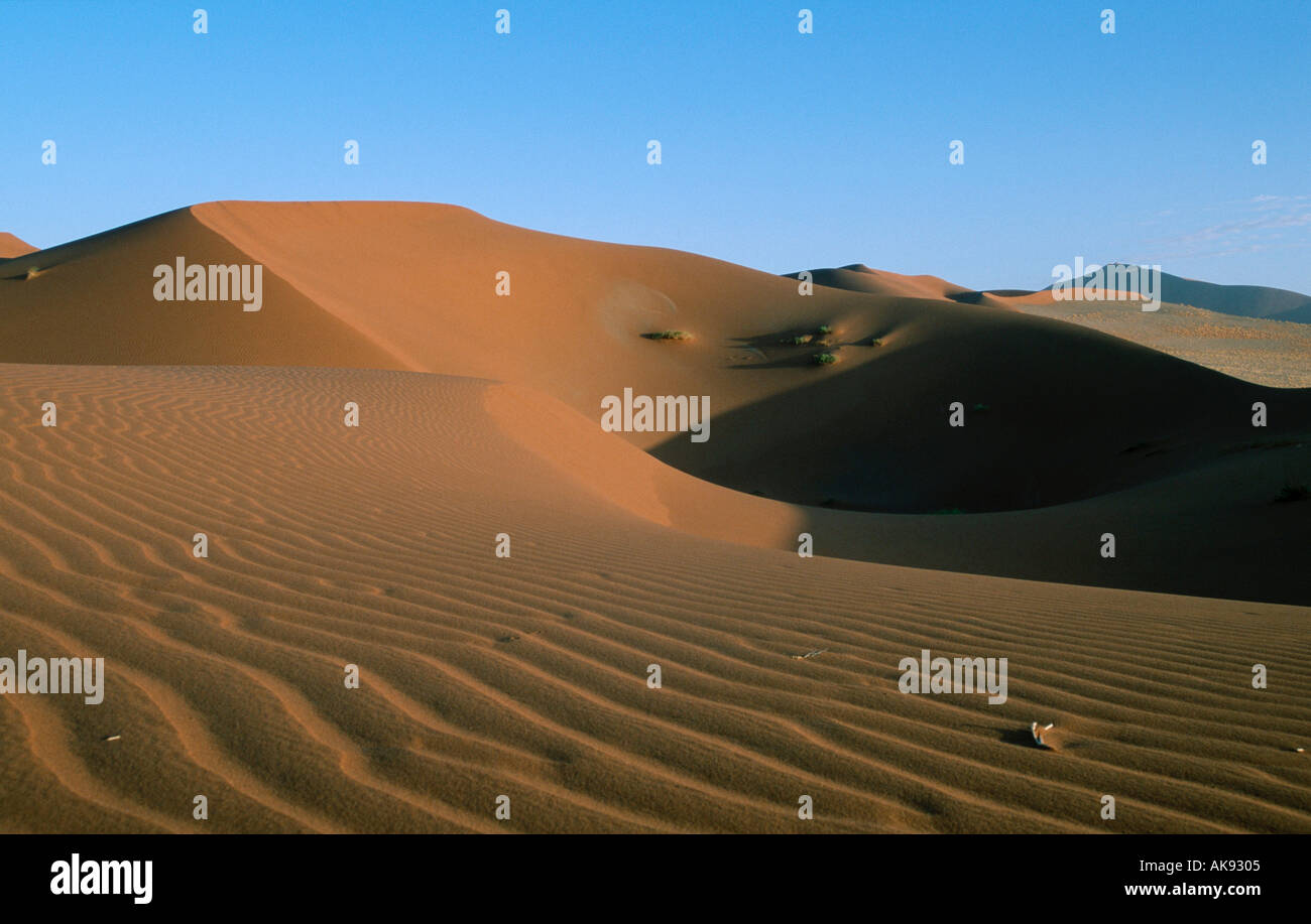 Sand dune Namib Desert Namibia Sandduene Namib Wueste Namibia ...