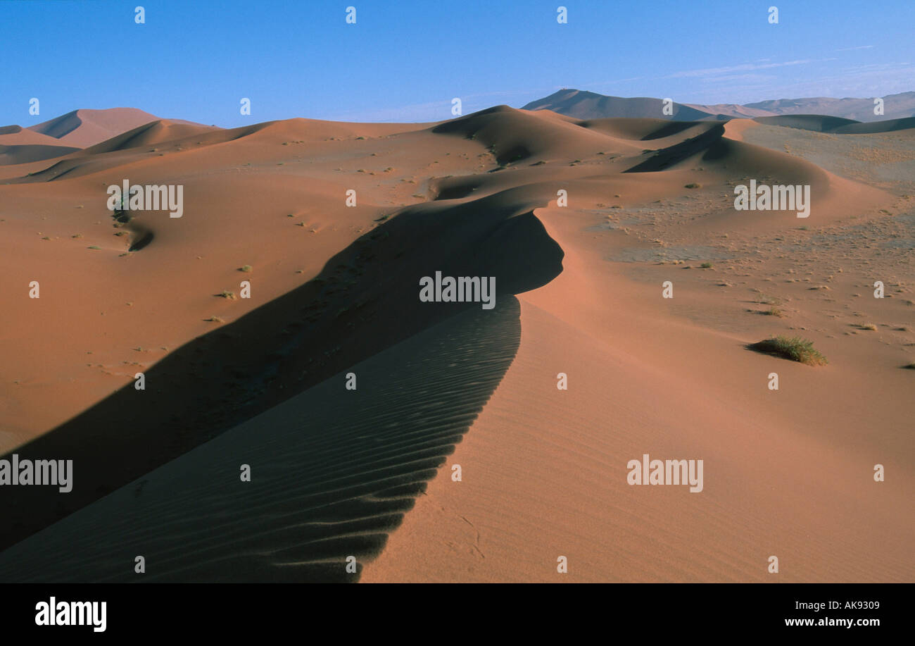 Sand dune Namib Desert Namibia Sandduene Namib Wueste Namibia ...
