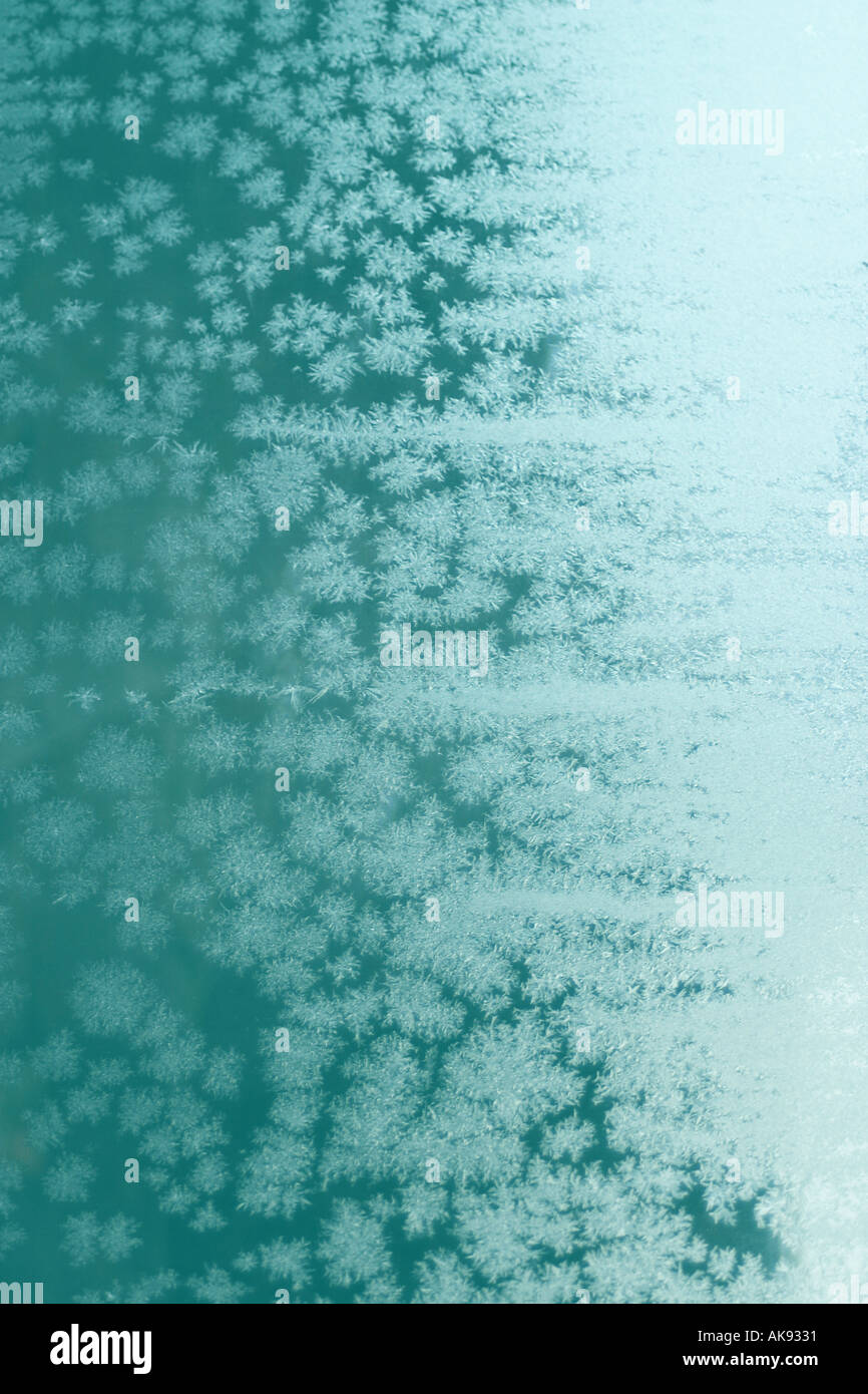 Frost and winter hi-res stock photography and images - Alamy