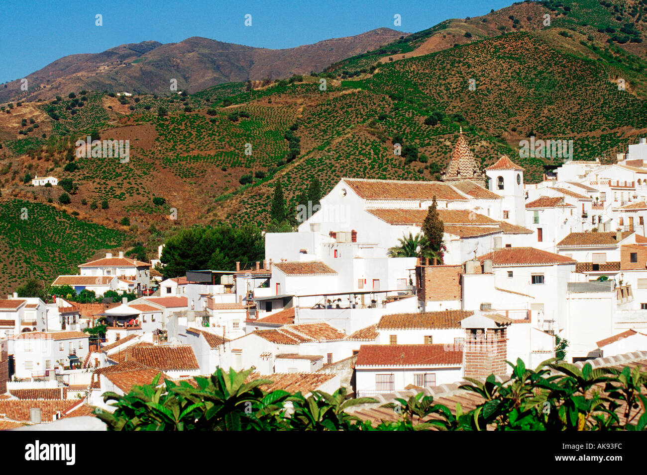 SPain Malaga the white pueblo of El Borge in the Axarquia mountains ...