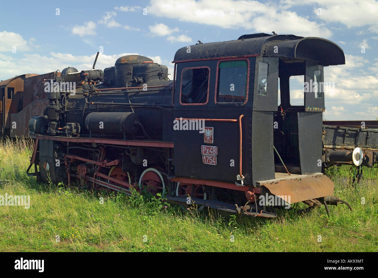 Narrow gauge steam engine locomotive on the grass Stock Photo - Alamy