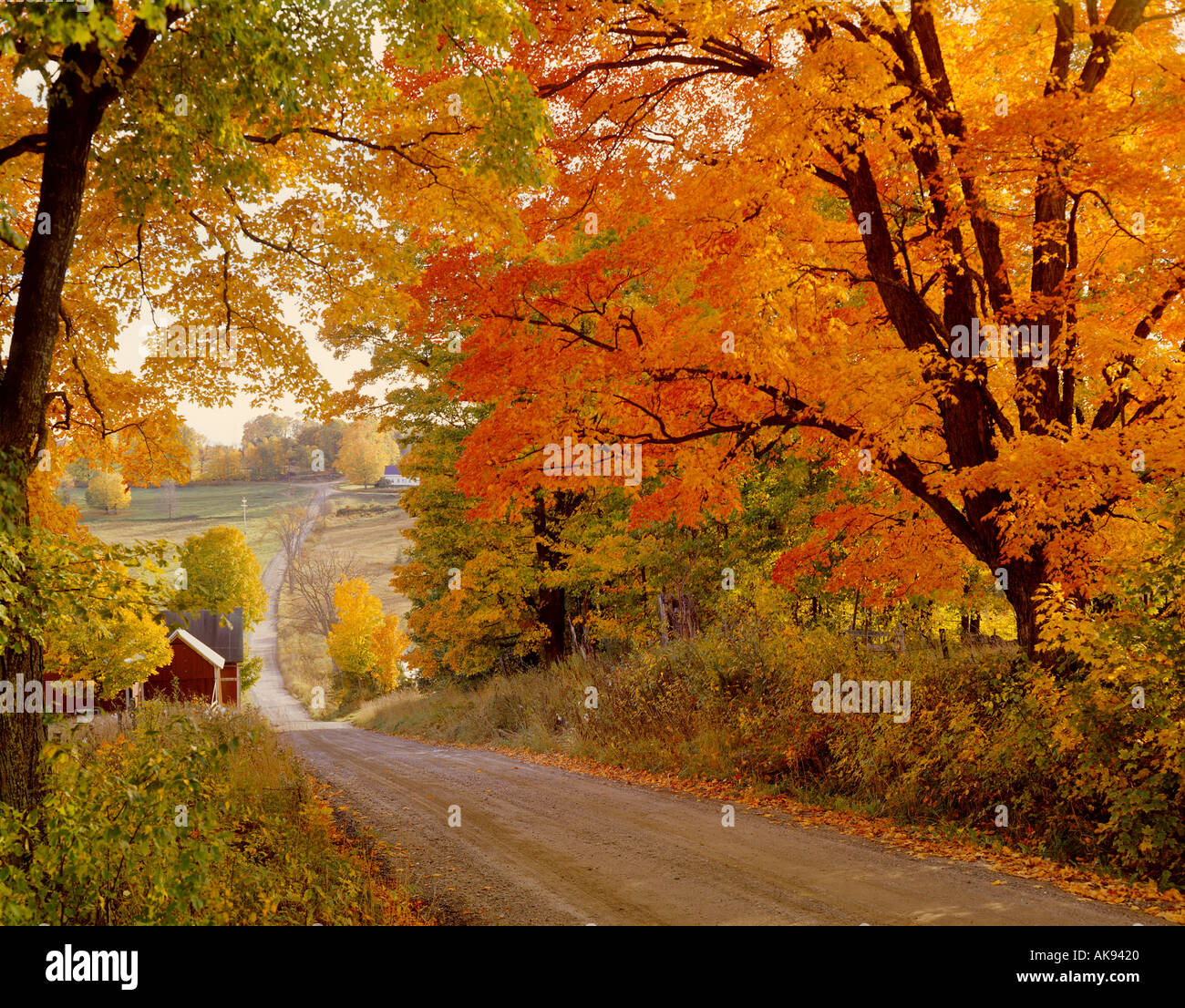 Autumn Road Farm