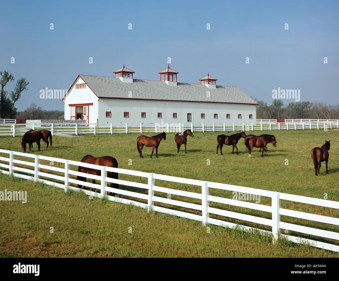 Kentucky barns hi-res stock photography and images - Alamy