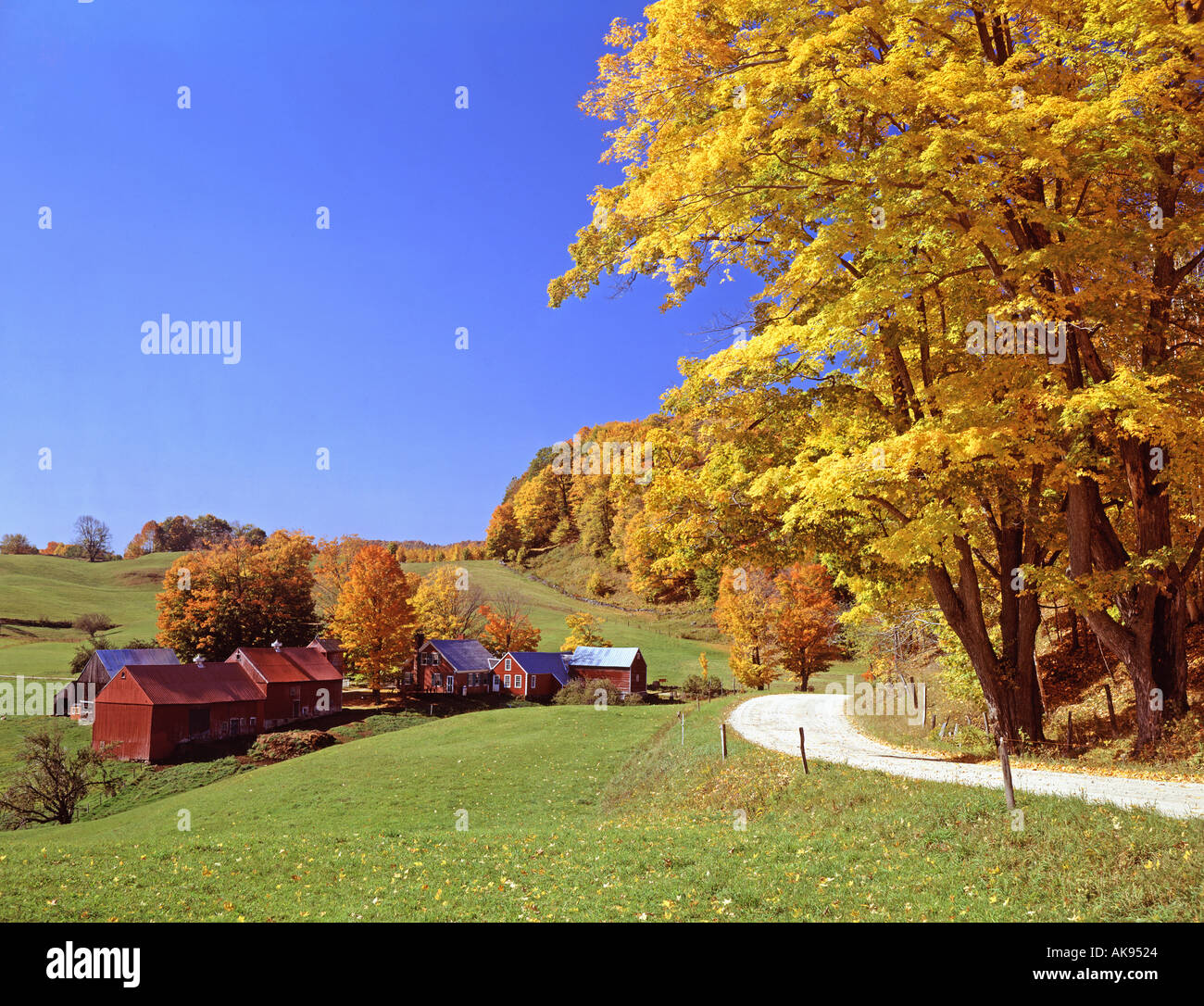 Jenne hi-res stock photography and images - Alamy