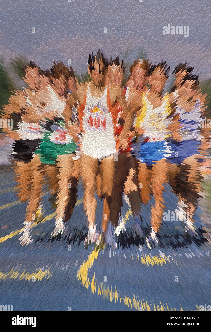 Men s distance race at a California track meet Stock Photo - Alamy
