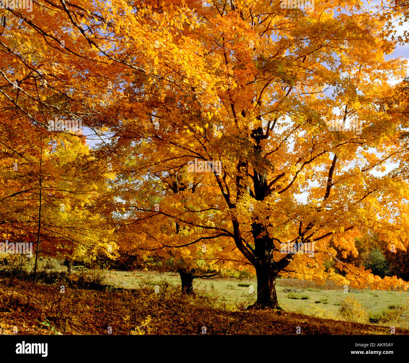 Fall colours in Eastern Townships, Quebec, Canada Stock Photo - Alamy