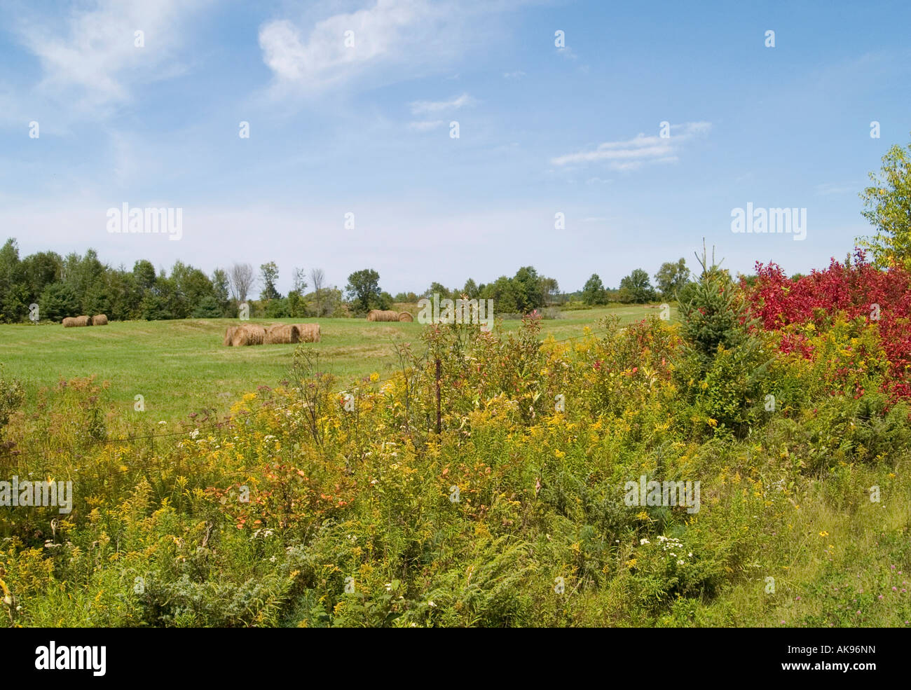 A view of the beautiful and peaceful Canadian countryside, near Fort ...