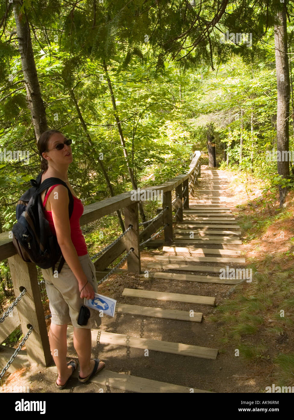 A tourist walking down the steps of one of the woodland pathways at the ...