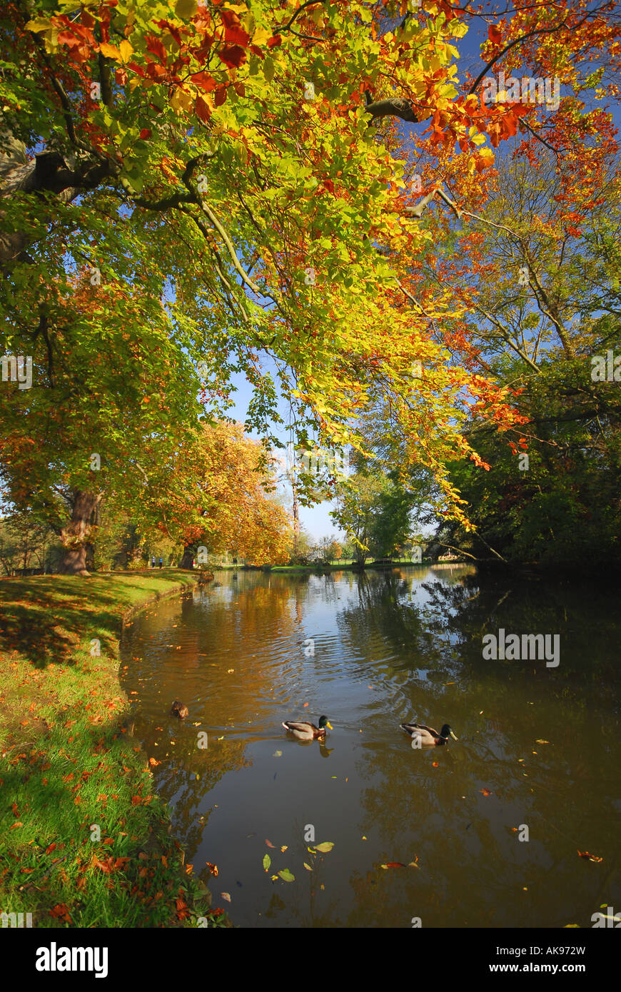 OXFORD Autumn by the River Cherwell as it passes through Christ Church ...