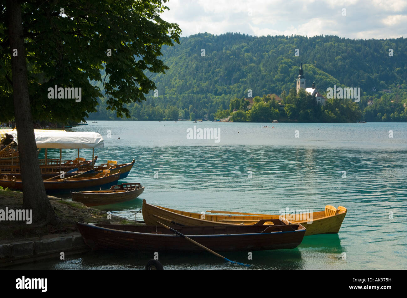 Rowing boats and traditional pletnas beside Lake Bled Blejsko Jezero ...