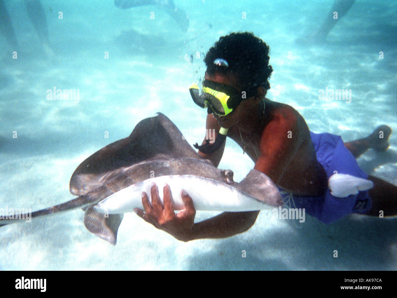 Swimming with stingray Stock Photo - Alamy
