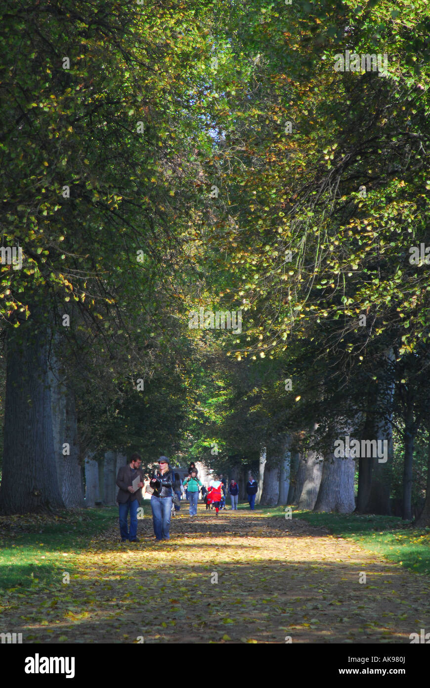 OXFORD Tree-lined avenue (New Walk) in Christ Church Meadow leading ...