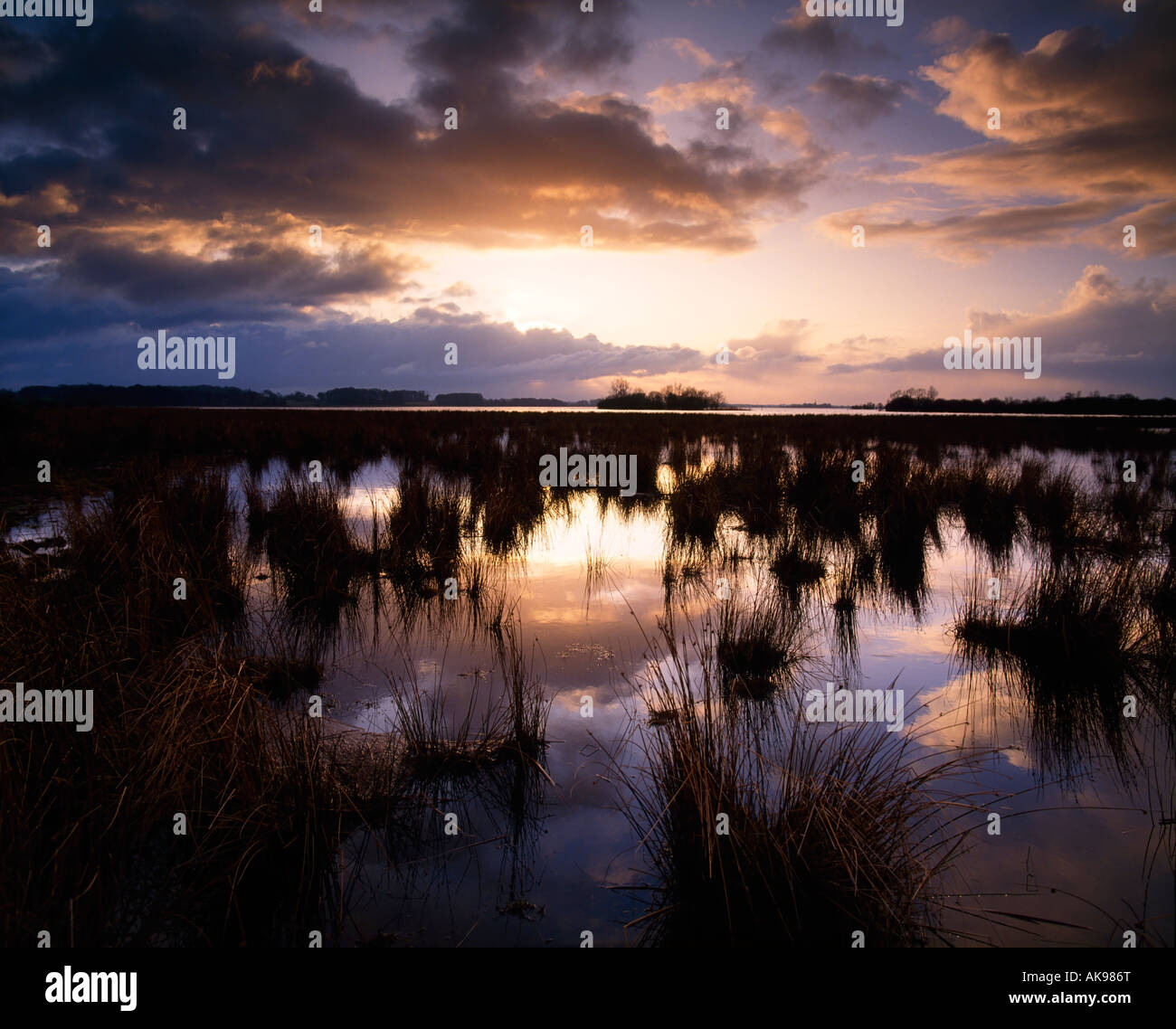 Co Antrim, Lough Beg, Near Toomebridge, Ireland Stock Photo - Alamy