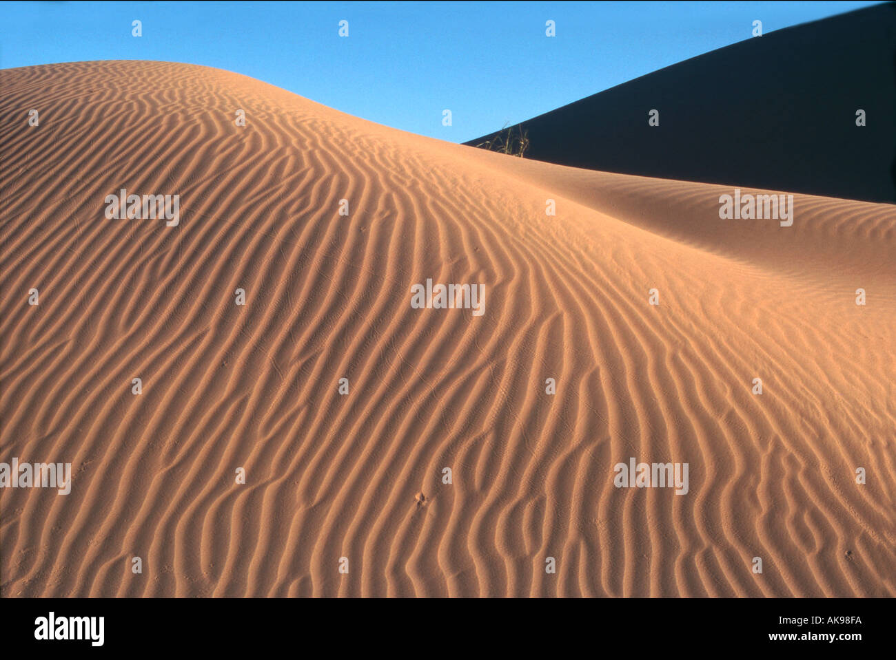 sand dunes in desert Stock Photo - Alamy