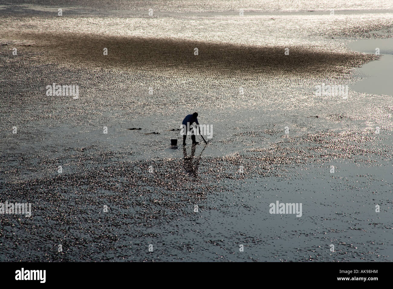 Man digging for worms on the beach hi-res stock photography and images ...