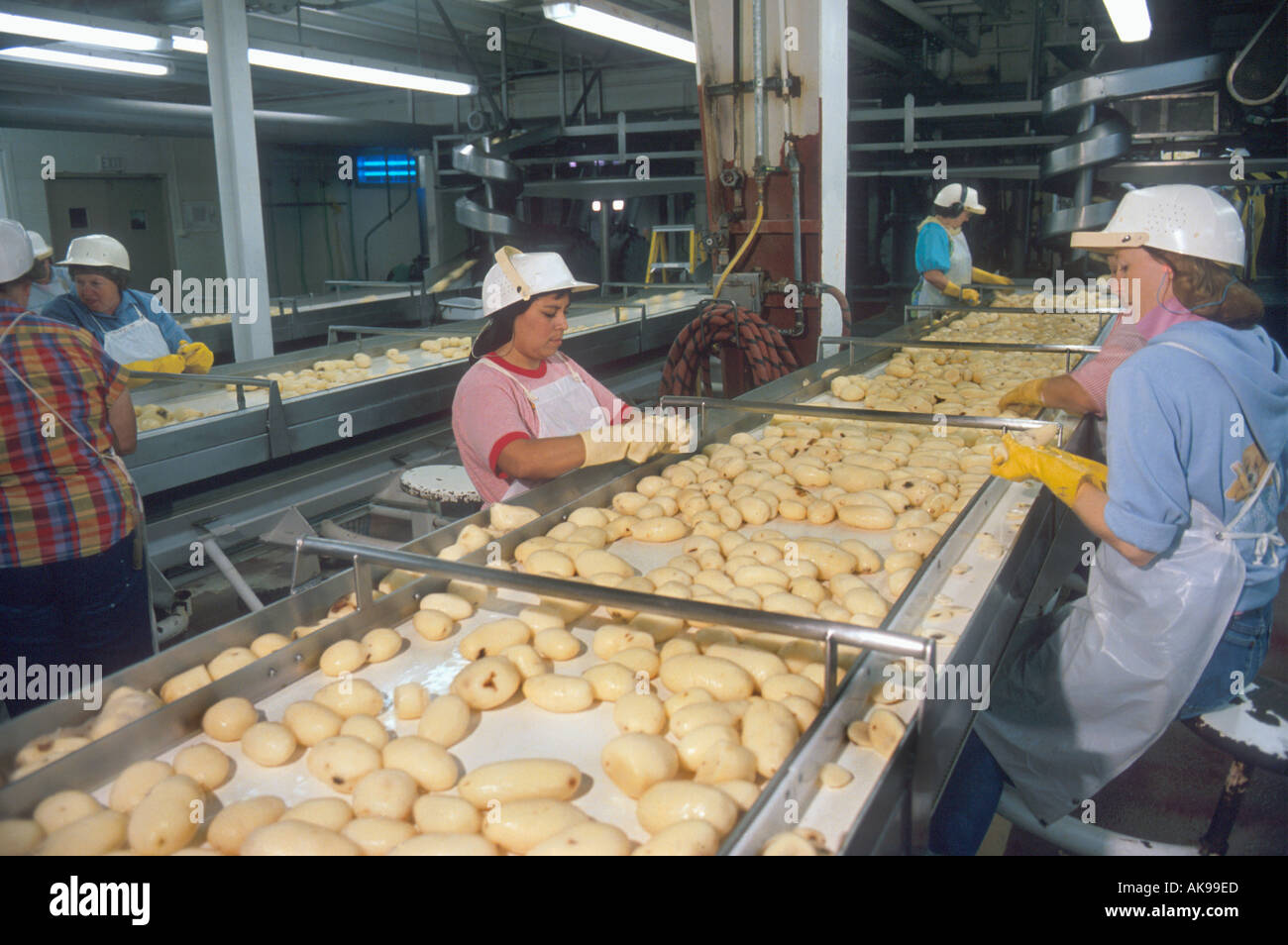 Potato processing plant at Caldwell Idaho Quality control workers Stock ...