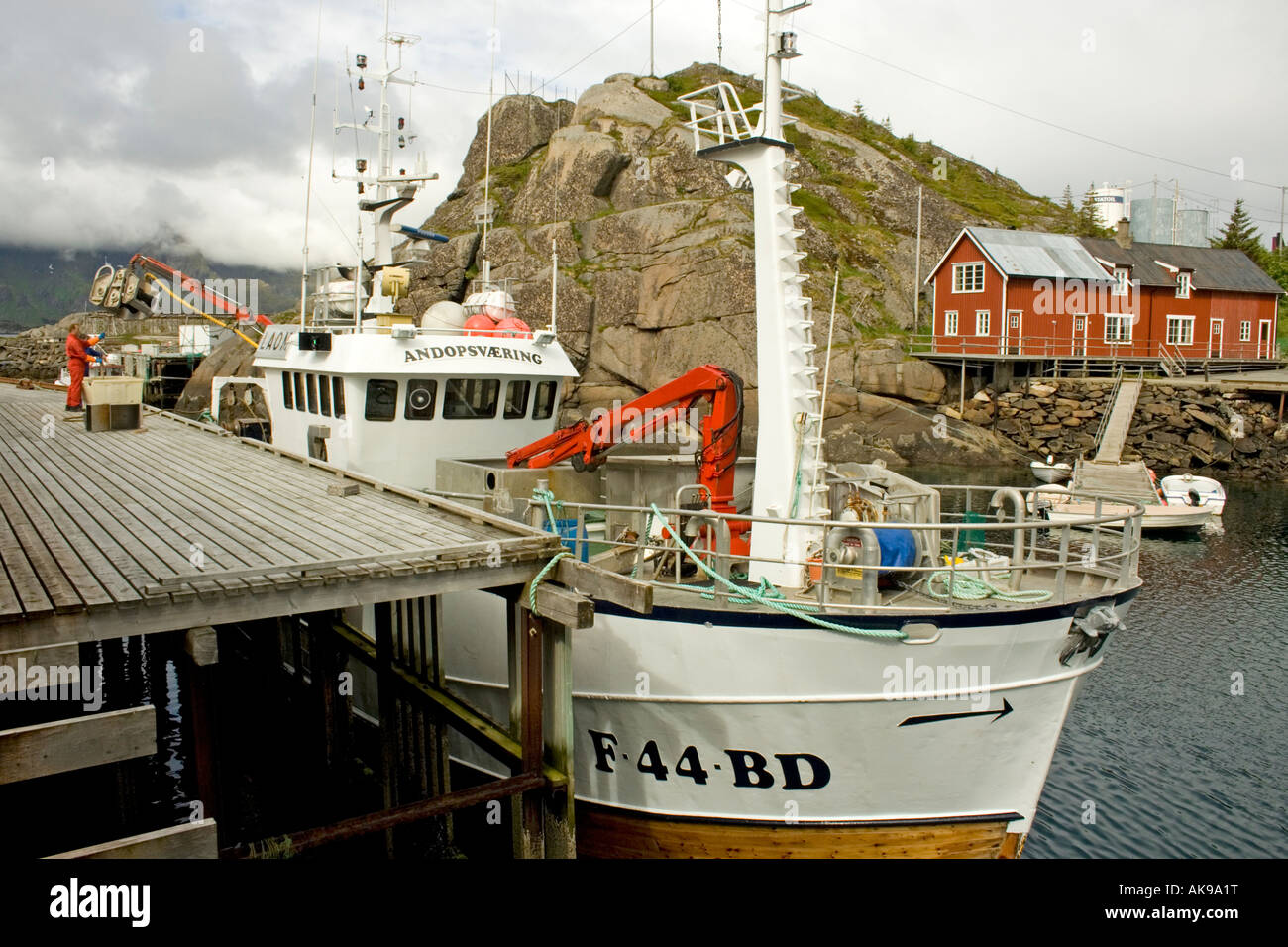 Unloading the catch, Mortsund harbour, Lofoten Islands, Arctic Norway ...