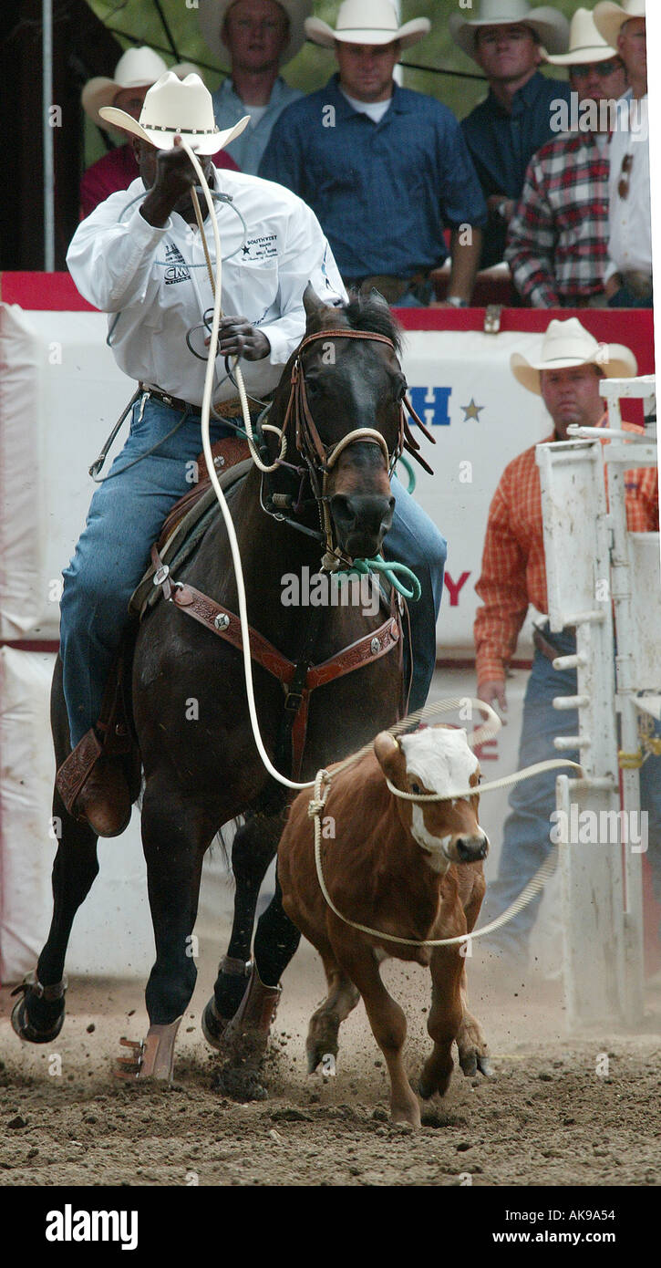 Run Calgary Stampede Stock Photo - Alamy