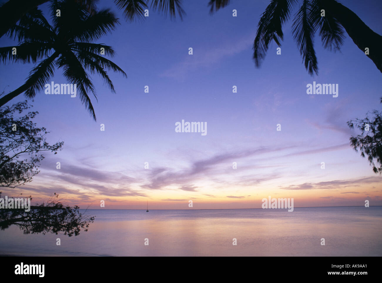 Beach palm trees sunset Stock Photo - Alamy