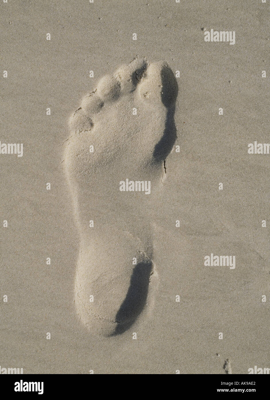 Foot print on the beach Stock Photo - Alamy