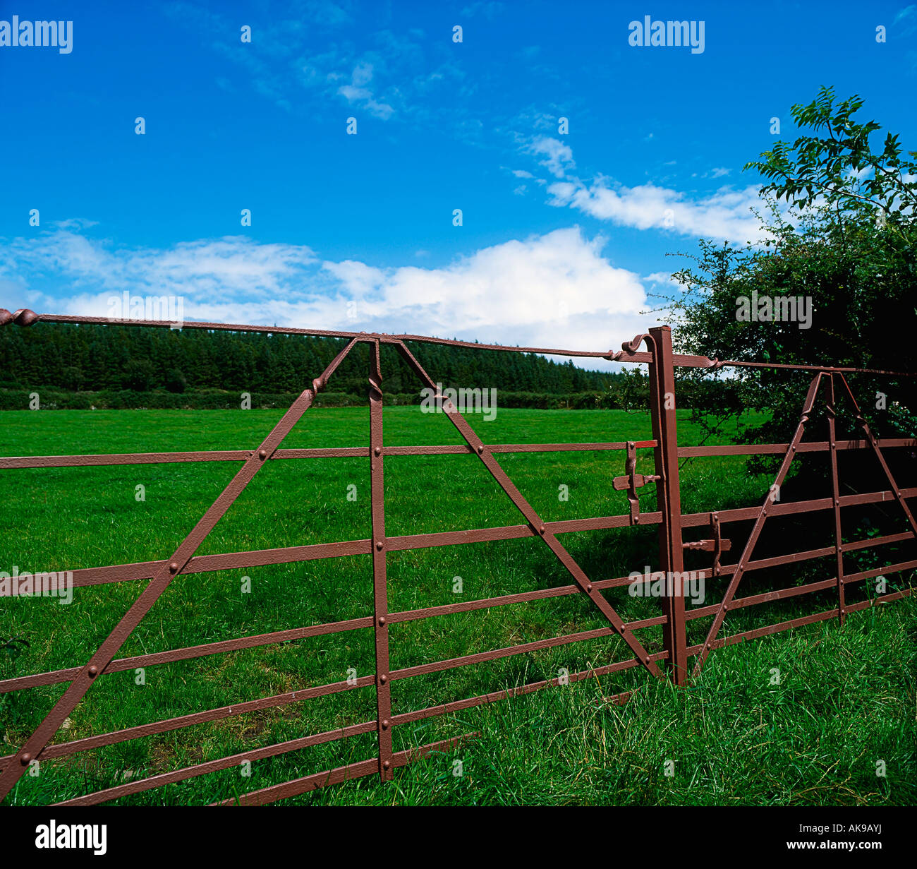 Waterford farm gate ireland hi-res stock photography and images - Alamy