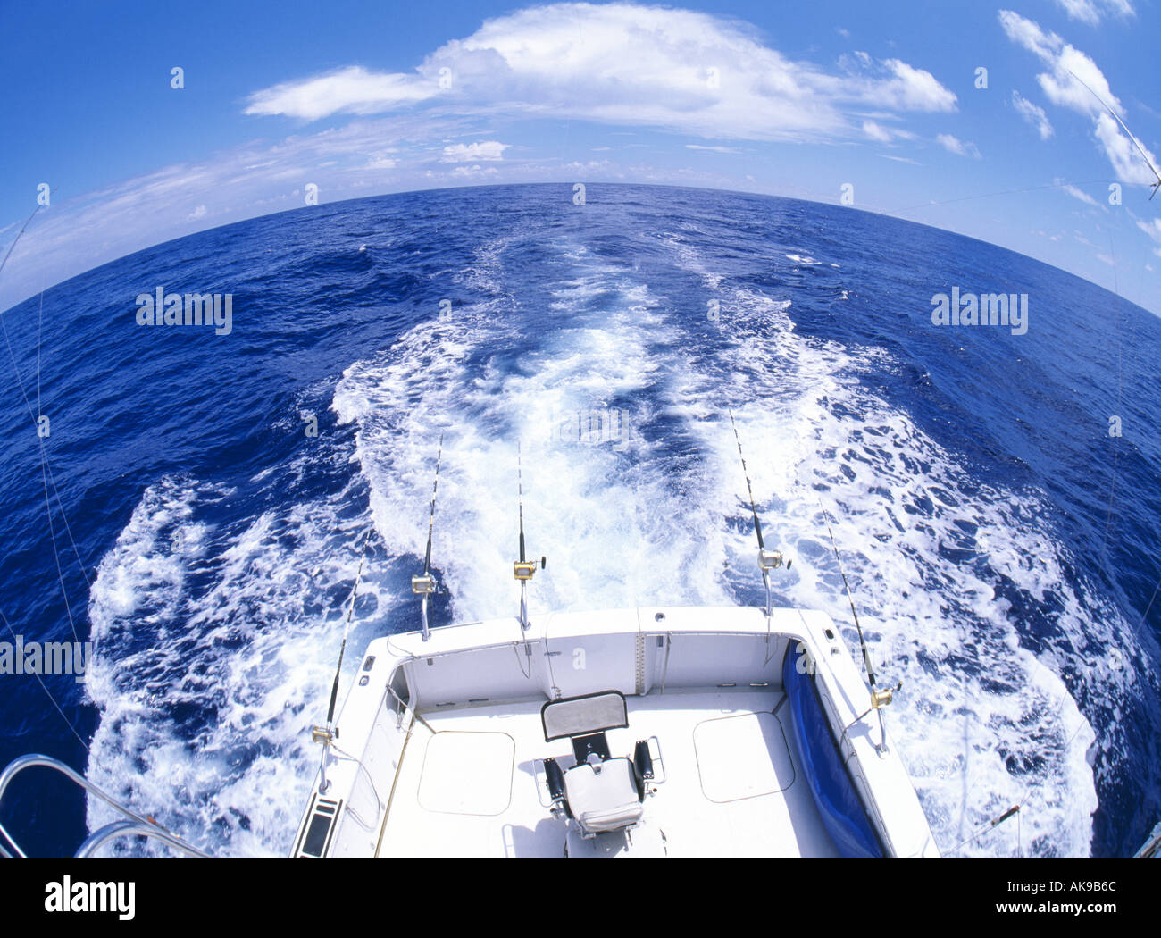 Blue marlin vessel hi-res stock photography and images - Alamy
