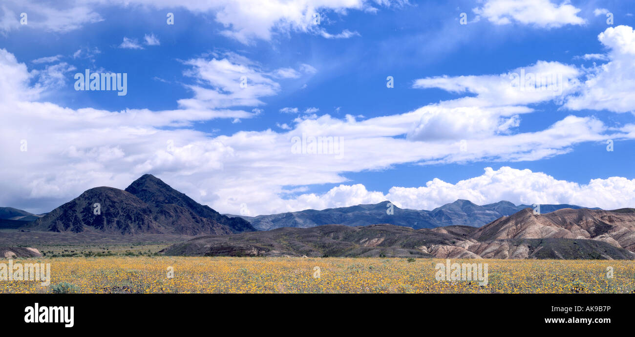 Blue skies with beautiful white clouds over the Grapevine Mountains in ...