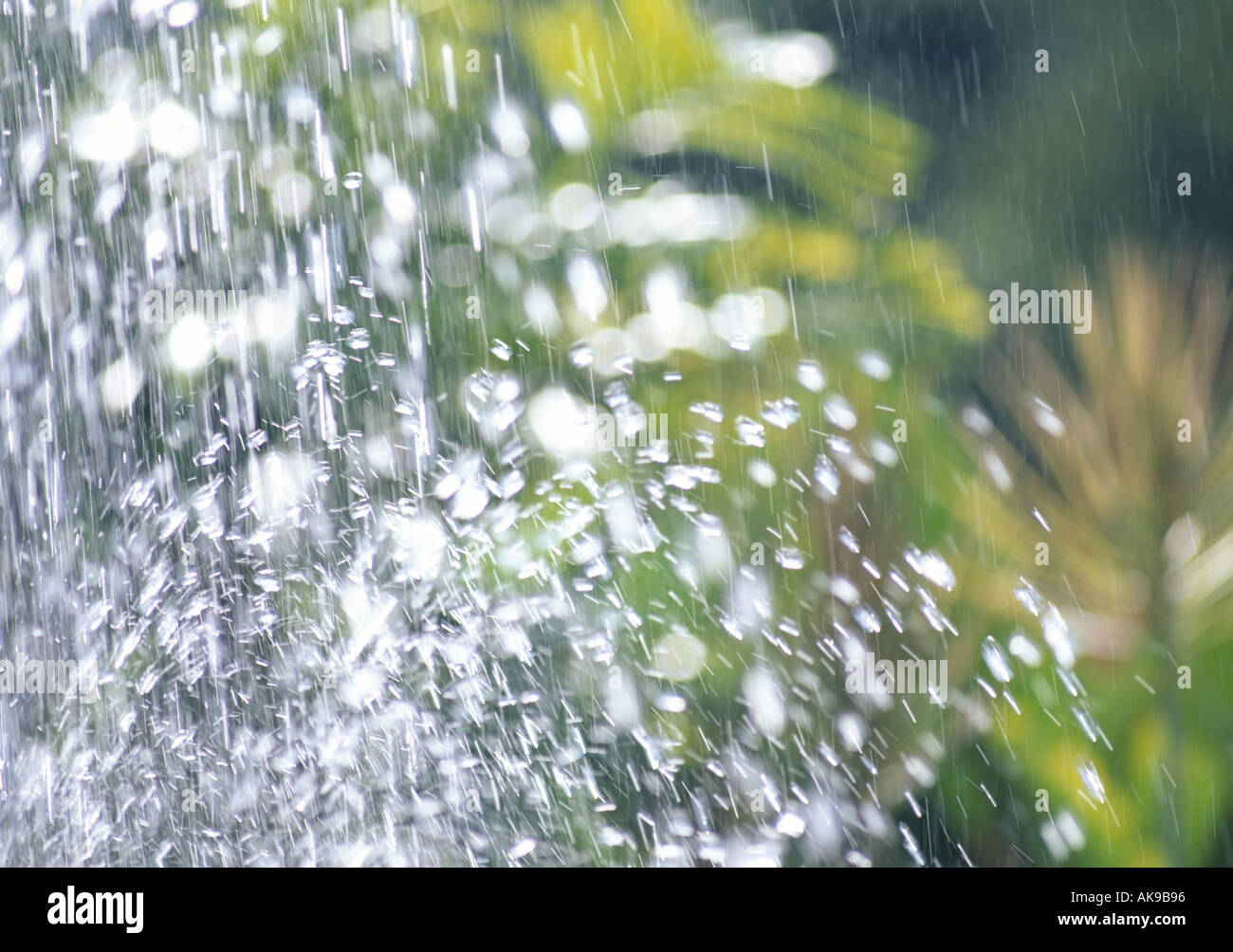 Splash in the tropical garden Stock Photo - Alamy