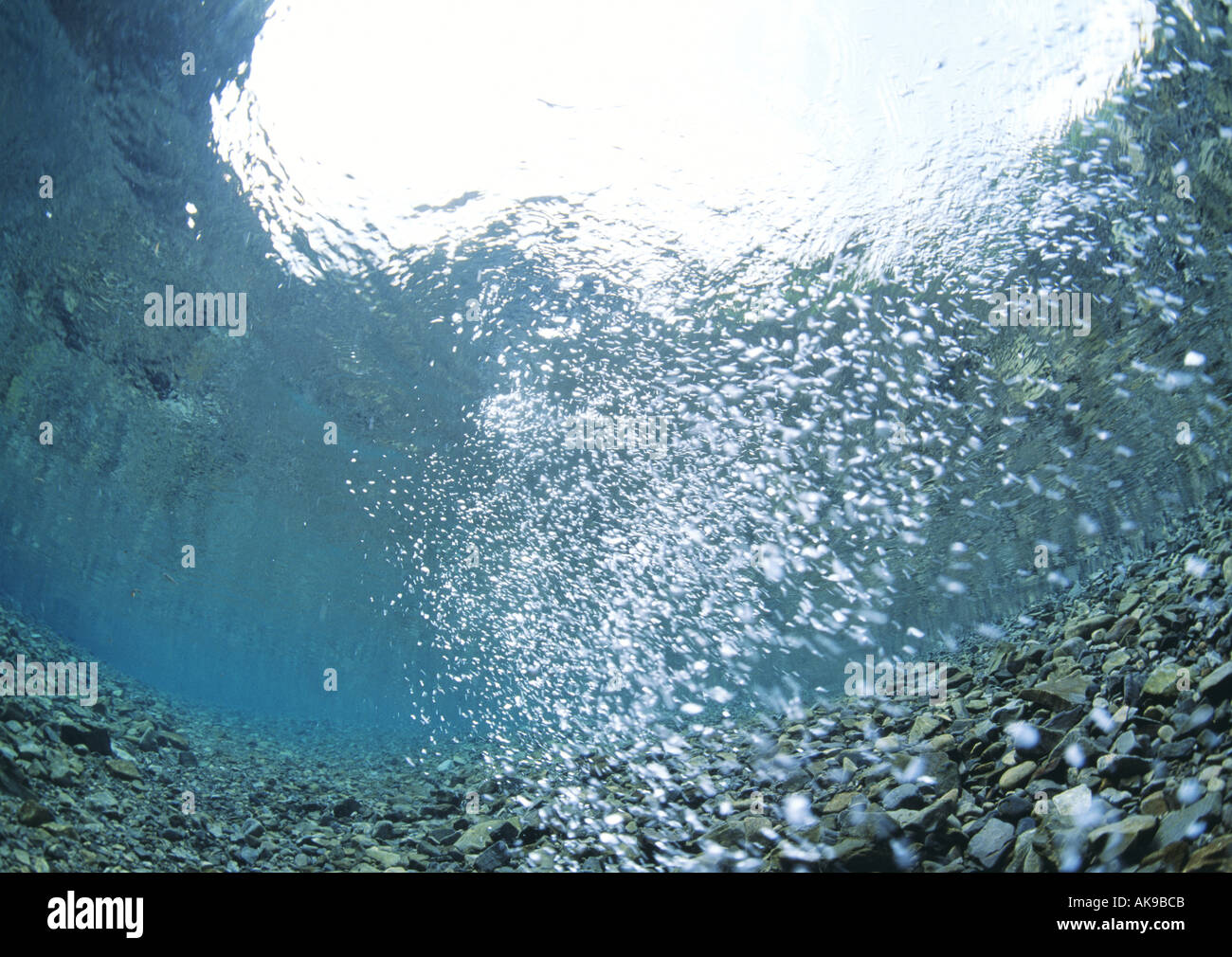 River underwater bubble Stock Photo - Alamy