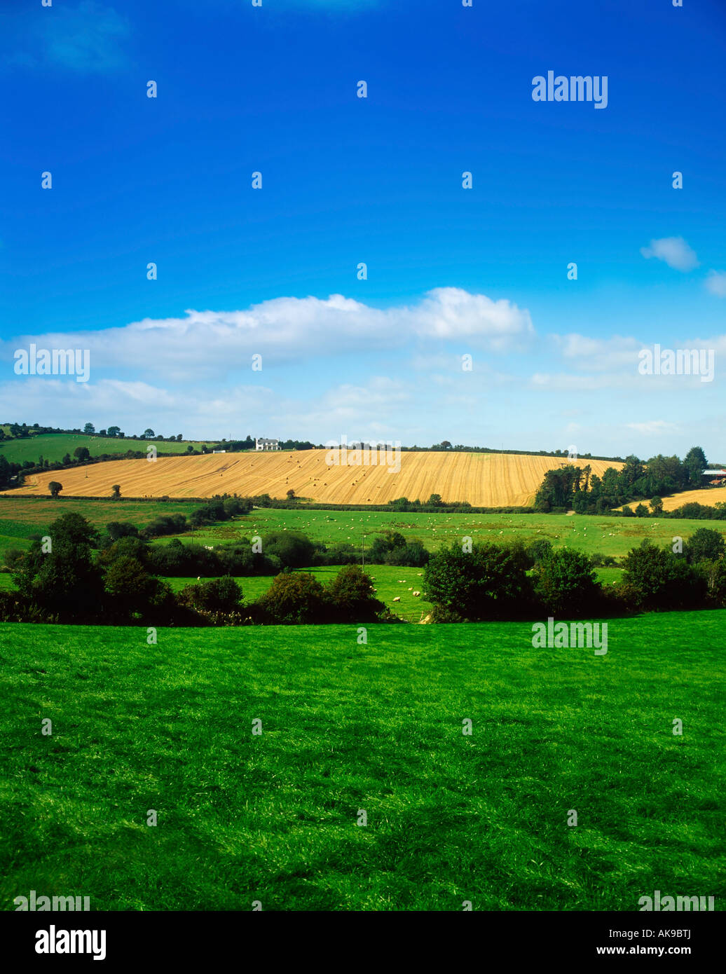 Bunclody, County Wexford, Ireland Stock Photo - Alamy
