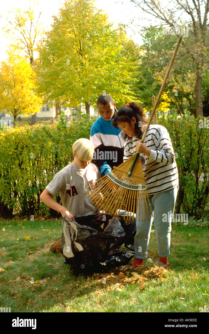 Boy And Girl Rake Autumn Leaves High Resolution Stock Photography and ...