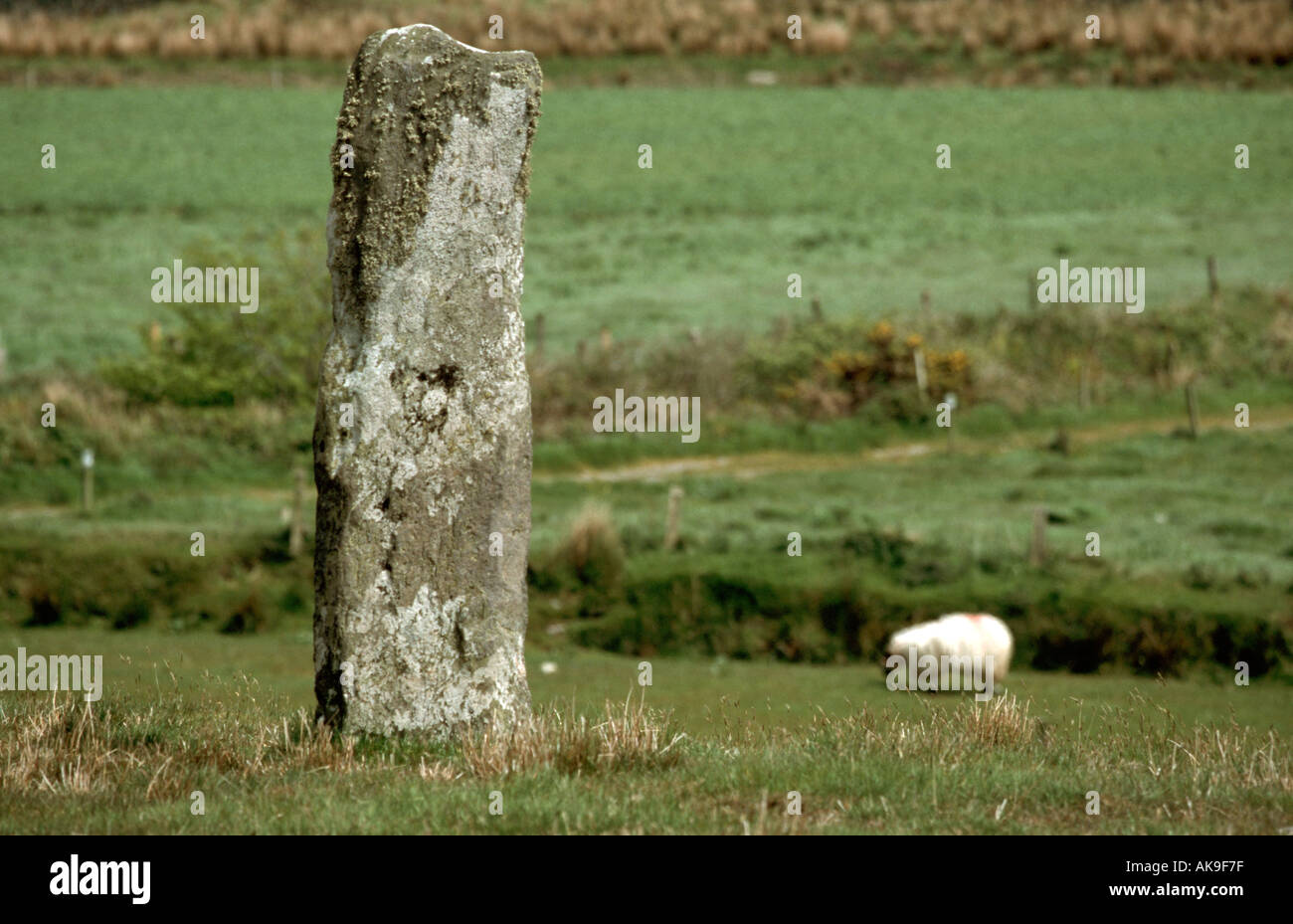 Neolithic standing stone ireland hi-res stock photography and images ...
