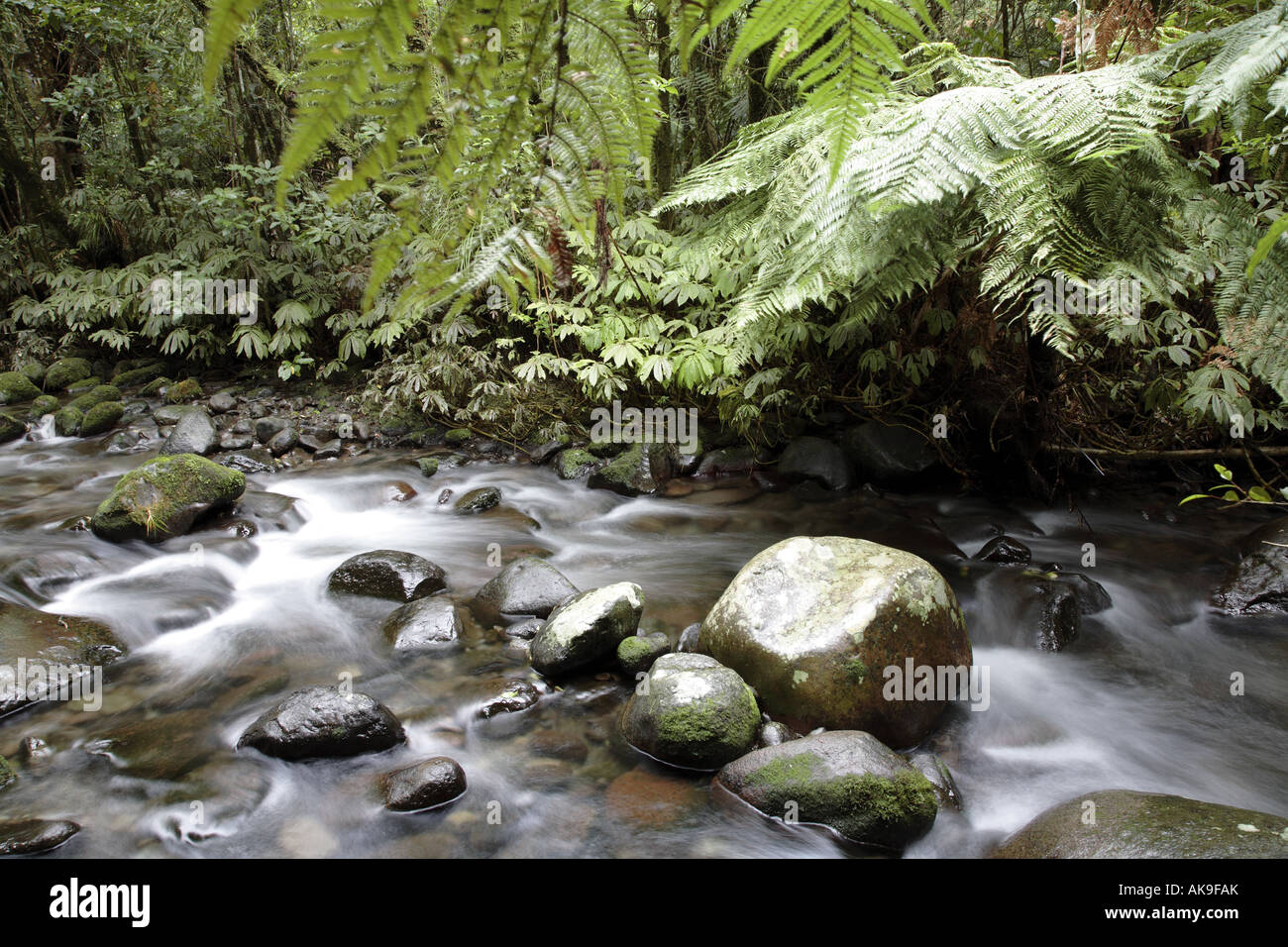 Stream and rocks Stock Photo - Alamy