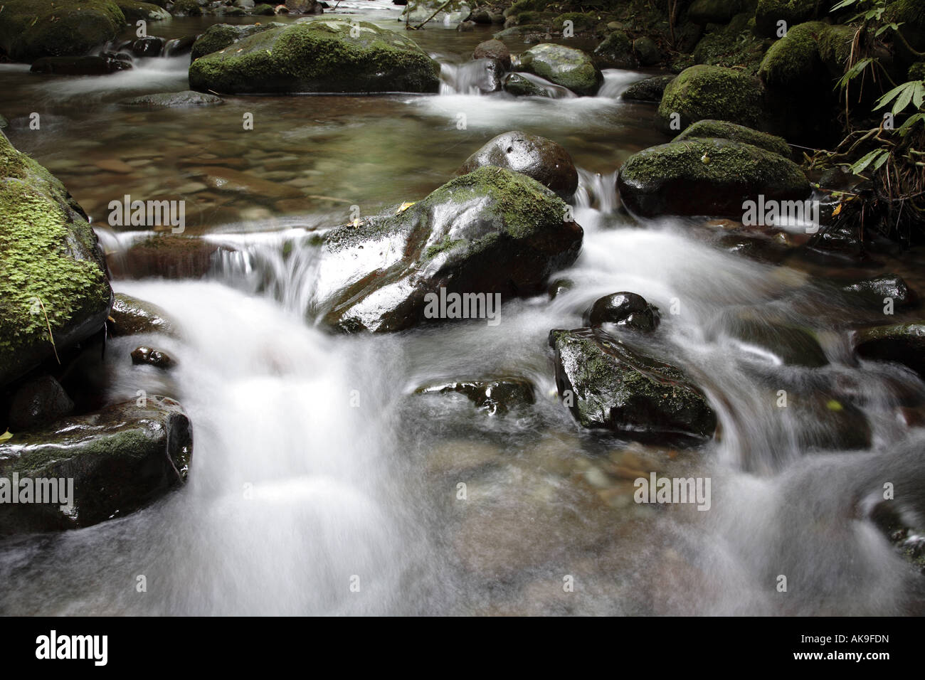 Stream and rocks Stock Photo - Alamy
