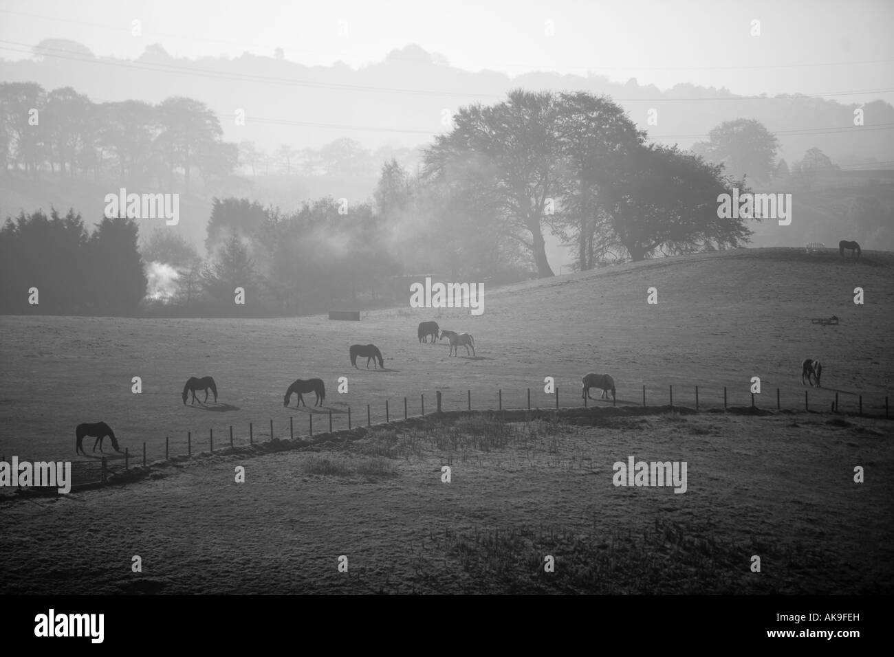 Fog fields Black and White Stock Photos & Images - Alamy
