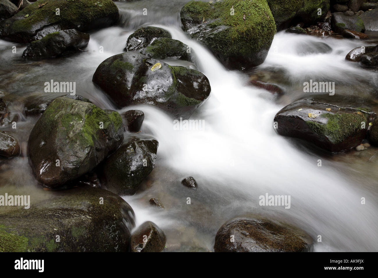 Stream and rocks Stock Photo - Alamy