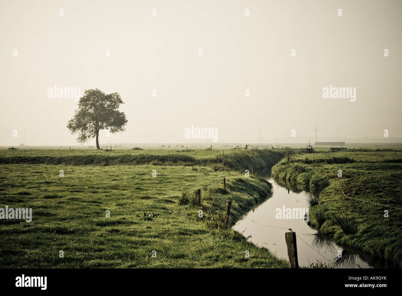 Landscape with river and tree Stock Photo - Alamy