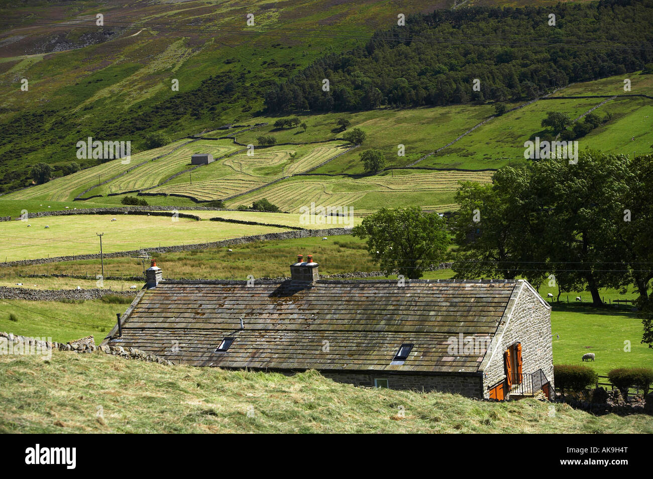 Swaledale farm and haymaking Kearton Yorkshire Dales National Park ...