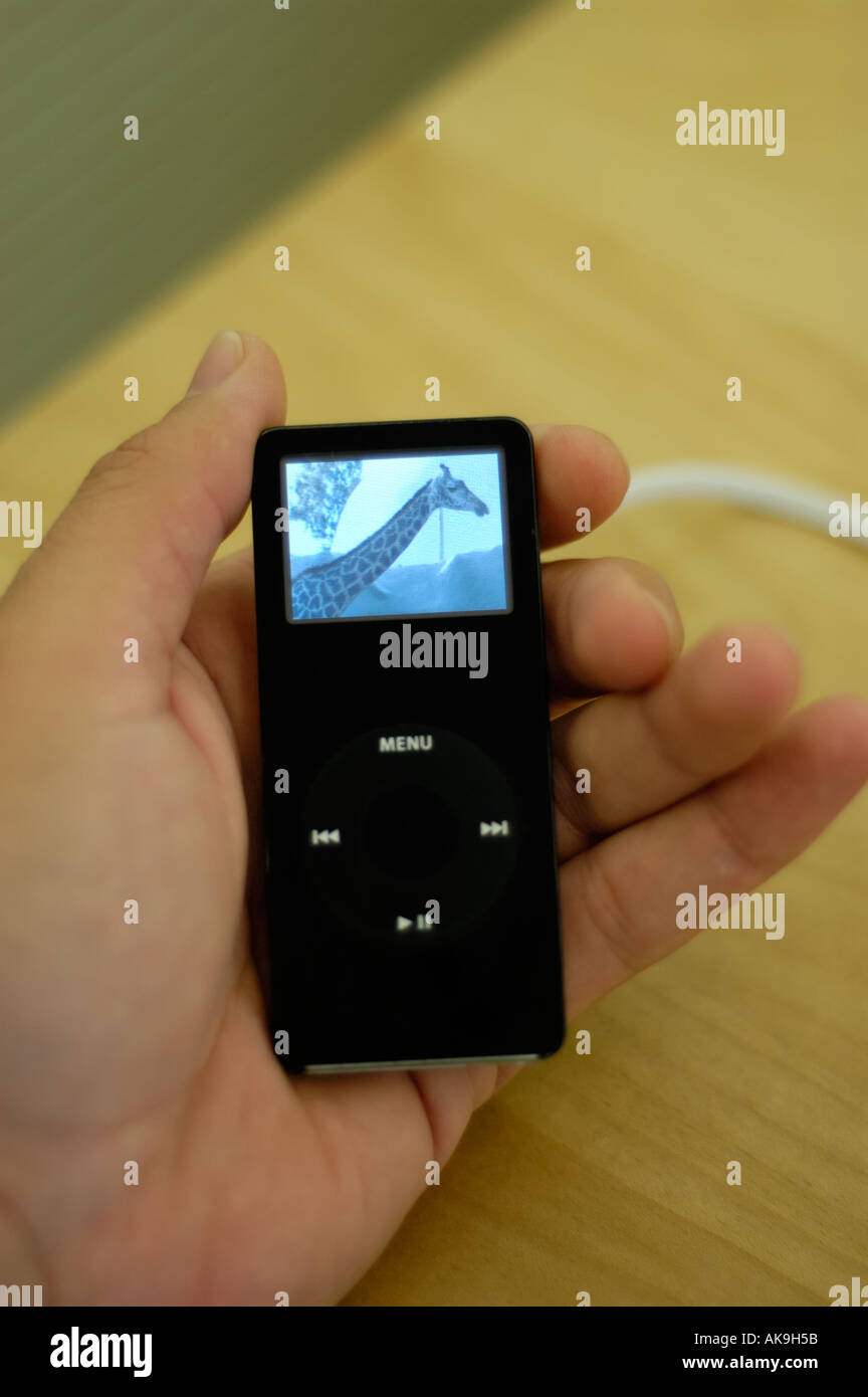 Woman s hand holding ipod Nano music player and photo viewer Stock ...