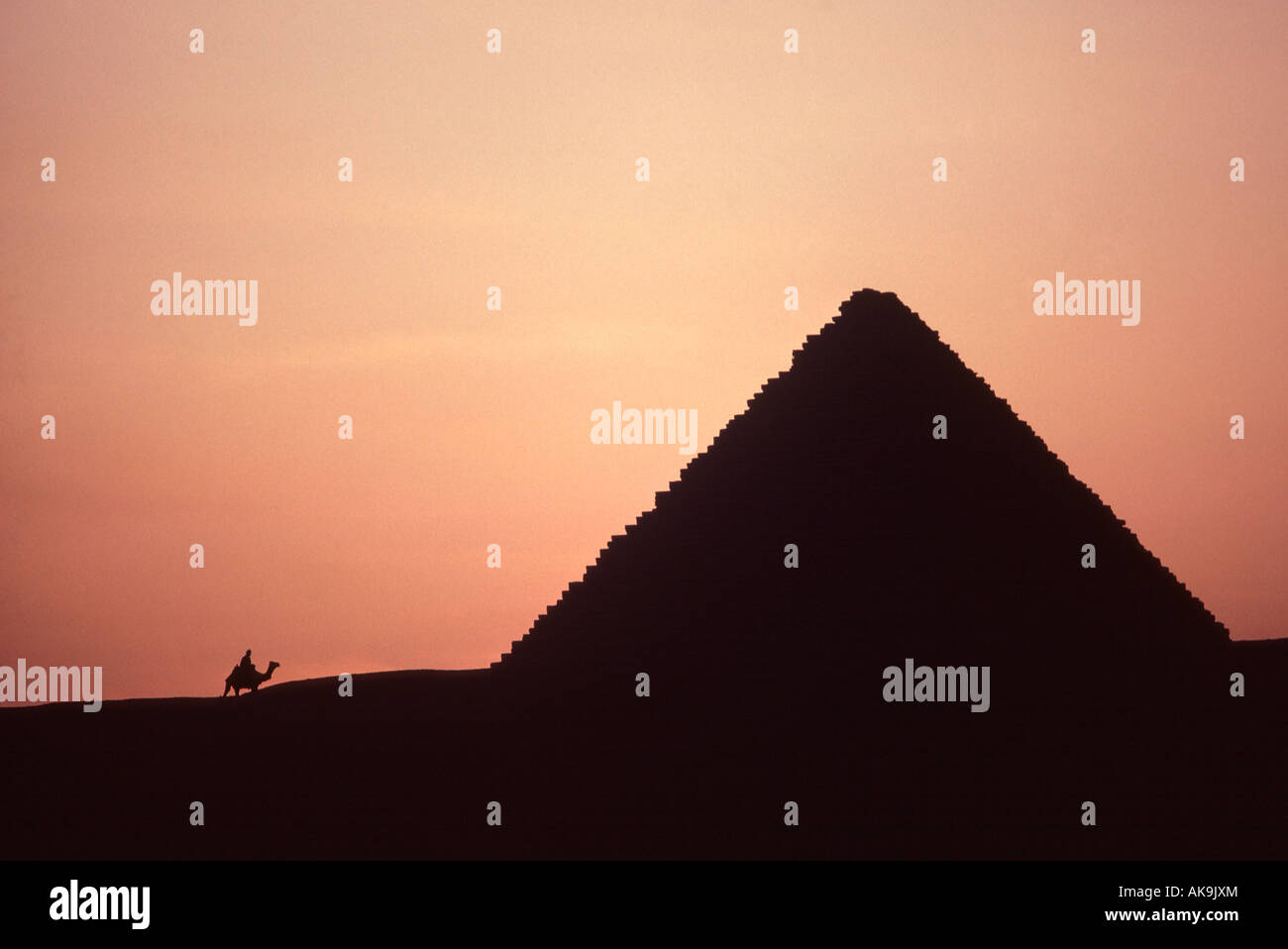 Silhouette camel pyramid sunset giza hi-res stock photography and ...