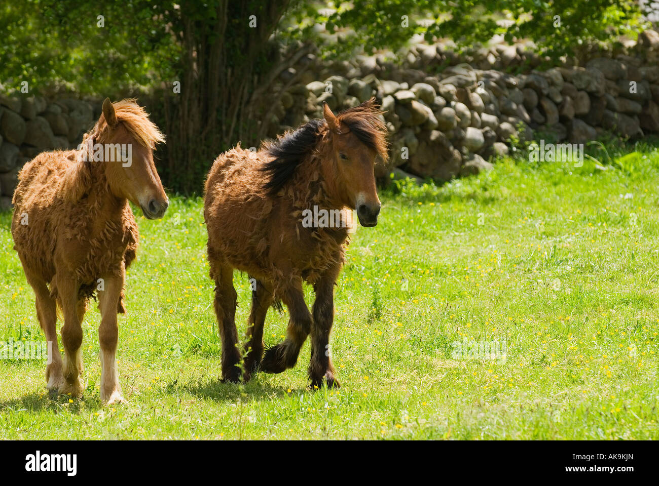 Cantabrian hi-res stock photography and images - Alamy