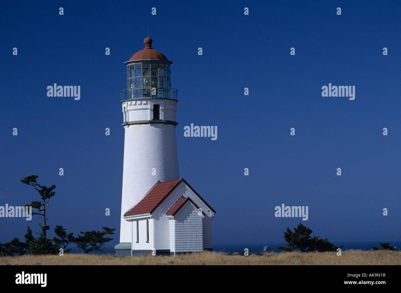 Cape Blanco State Park Southern Oregon coast Cape Blanco lighthouse ...