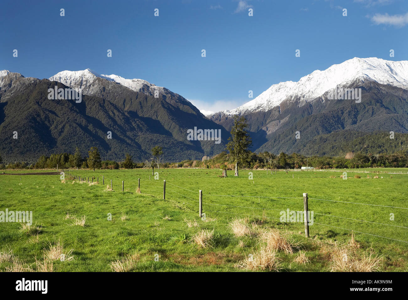 Adams island, new zealand hi-res stock photography and images - Alamy