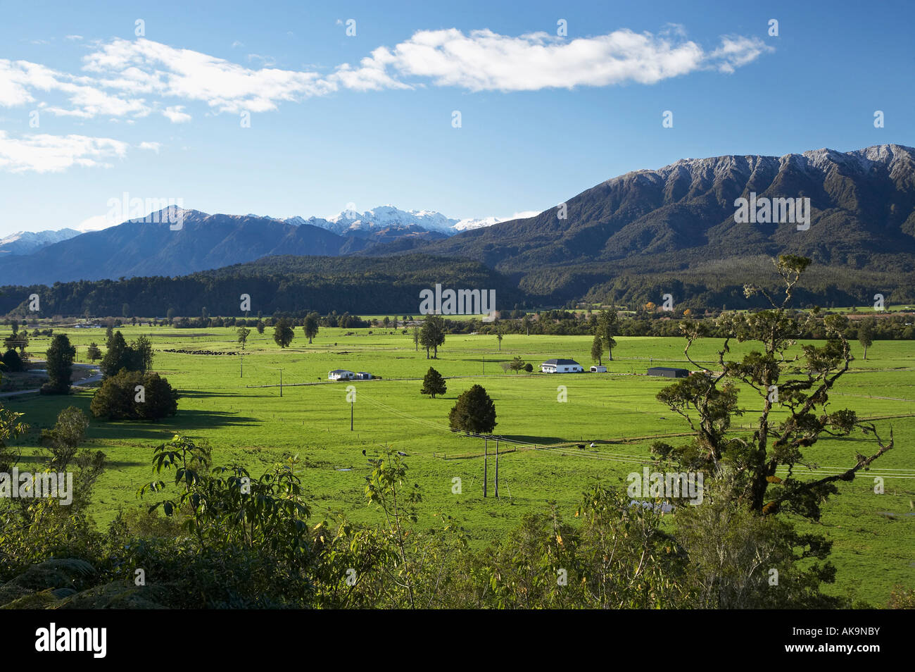 Harihari hi-res stock photography and images - Alamy