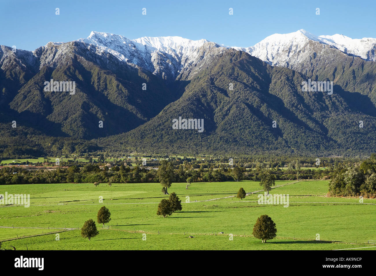 Harihari hi-res stock photography and images - Alamy