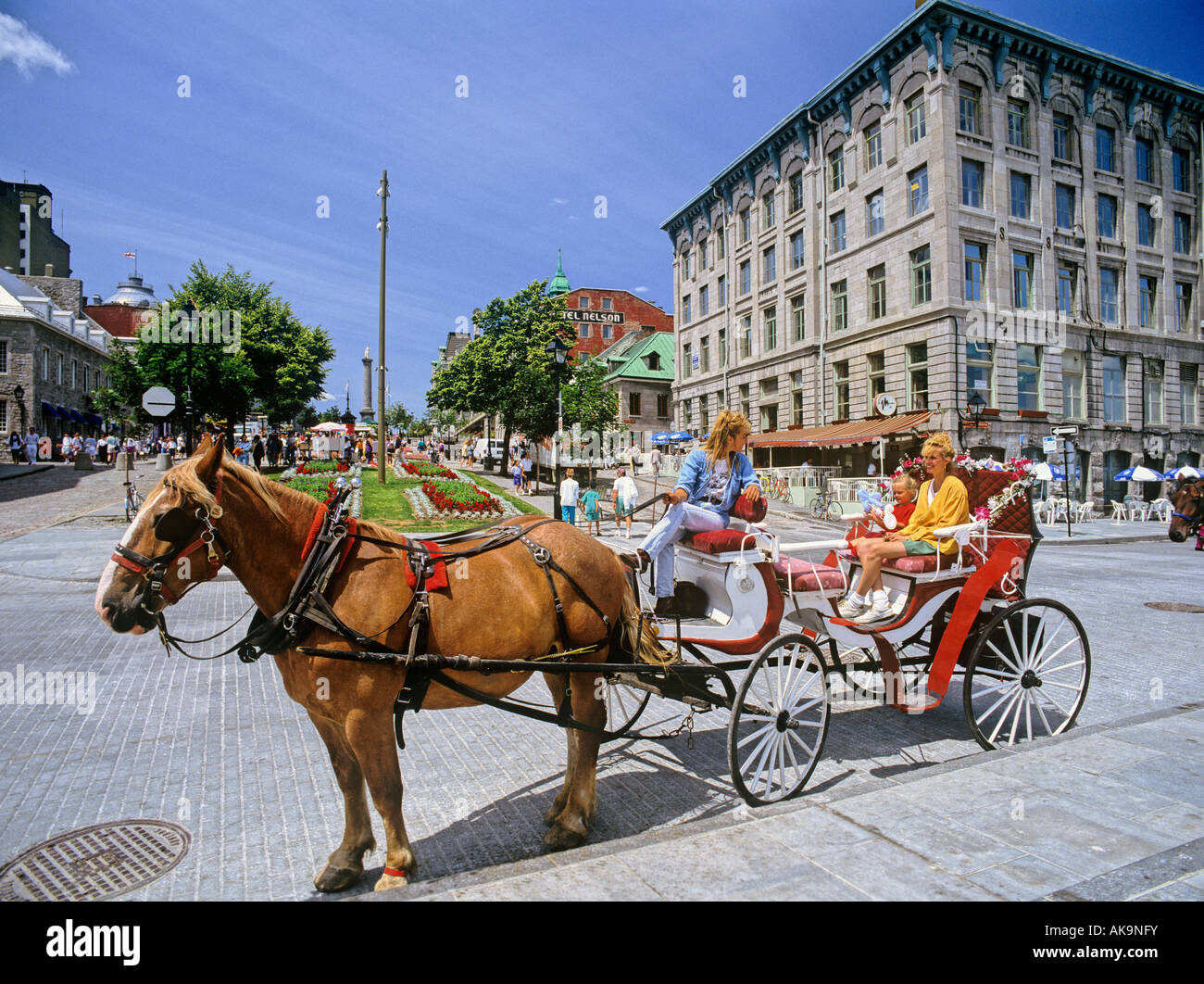 Child horse buggy hi-res stock photography and images - Alamy