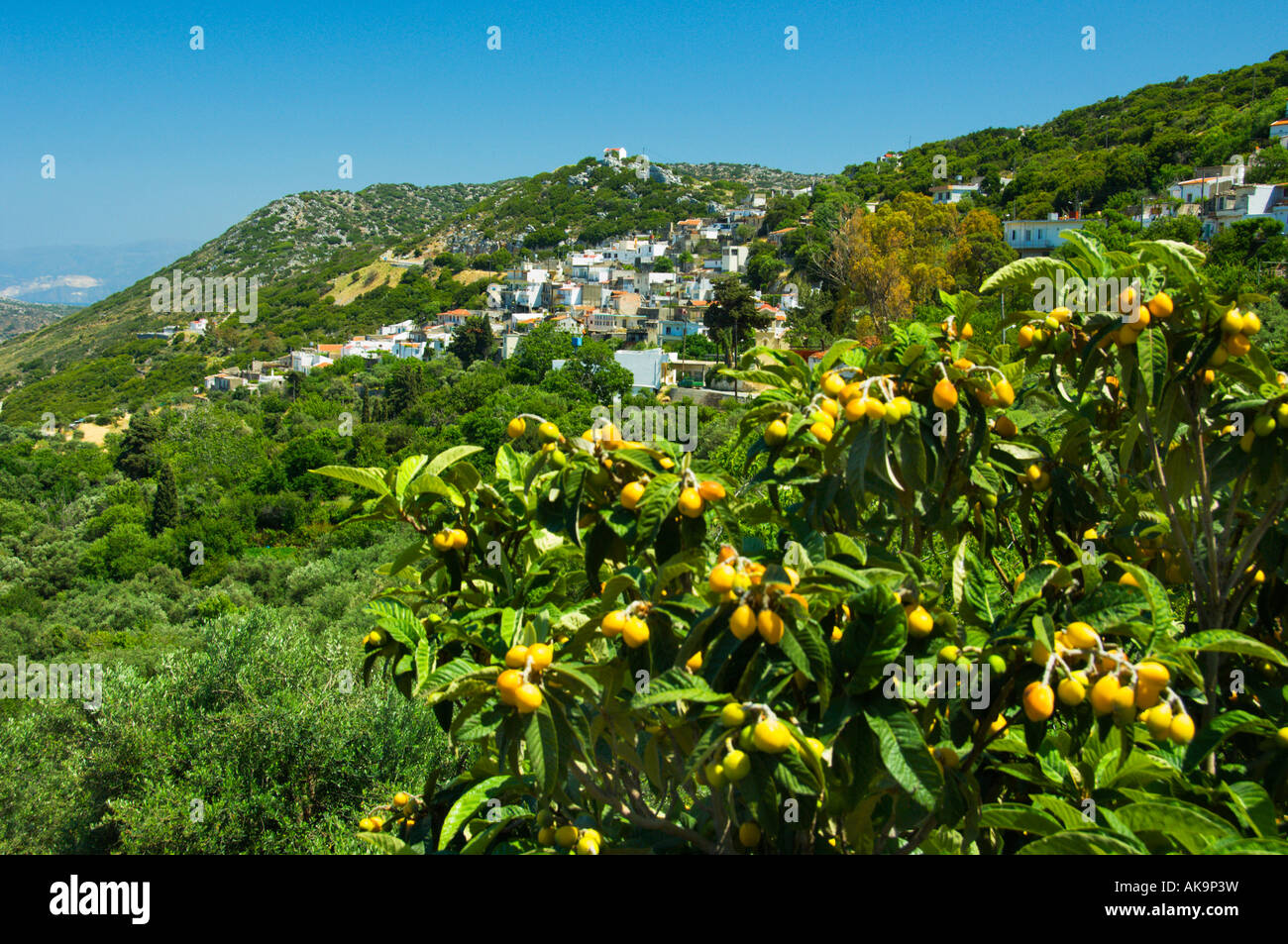 Mountain villages and tropical fruit vegetation on the Greek island of ...