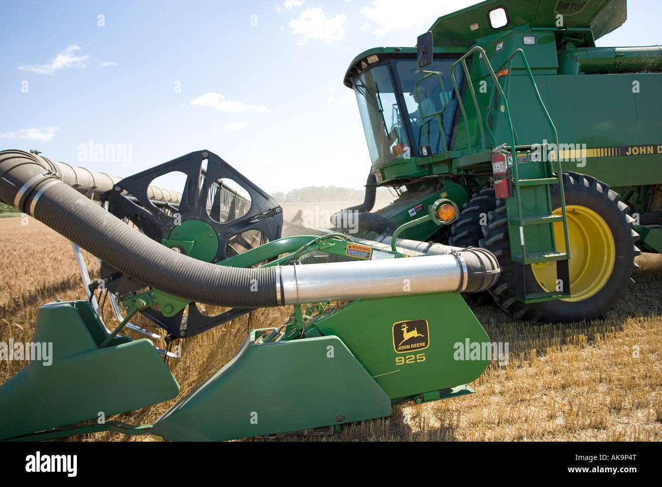 harvesting spring wheat Stock Photo - Alamy